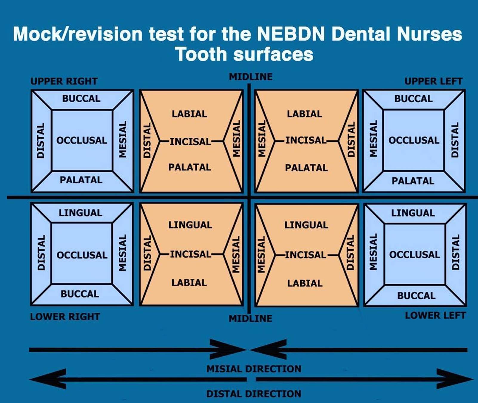 Module13 Dental Tutors Dental Nurse Courses And Training